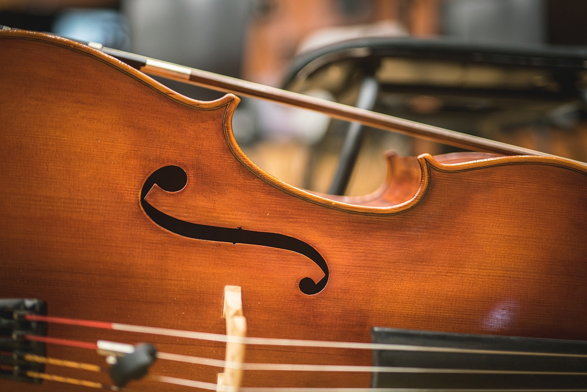 Classical Instrumental Music Performance (Viola) BA